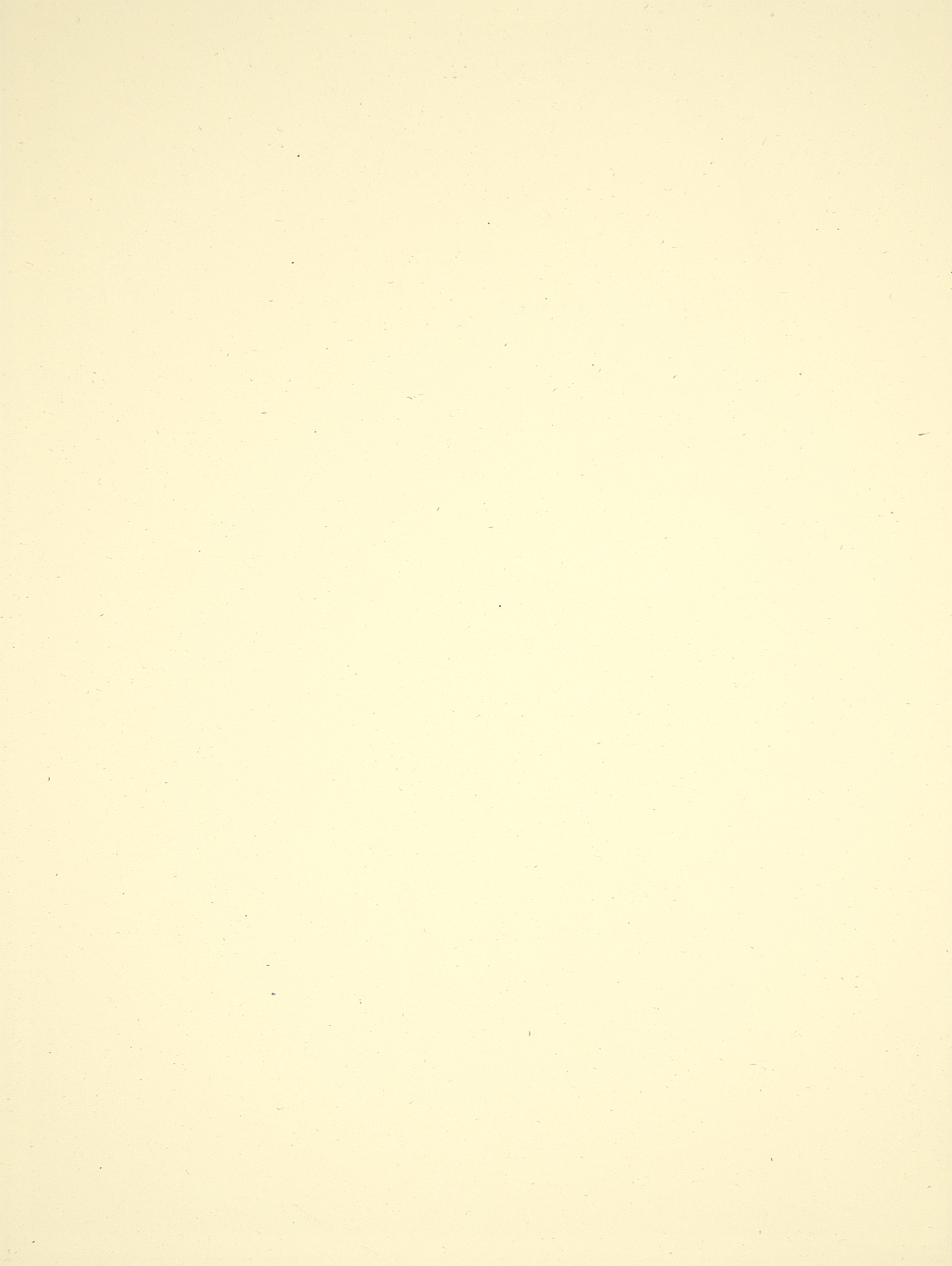 Merry Karnowsky (10th Anniversary) | SHEPARD FAIREY | Heather James