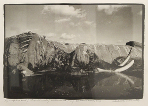 PETER BEARD | Heather James